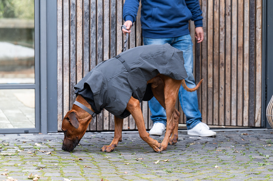 FÜR HUNDE – Martin Rütter SHOP